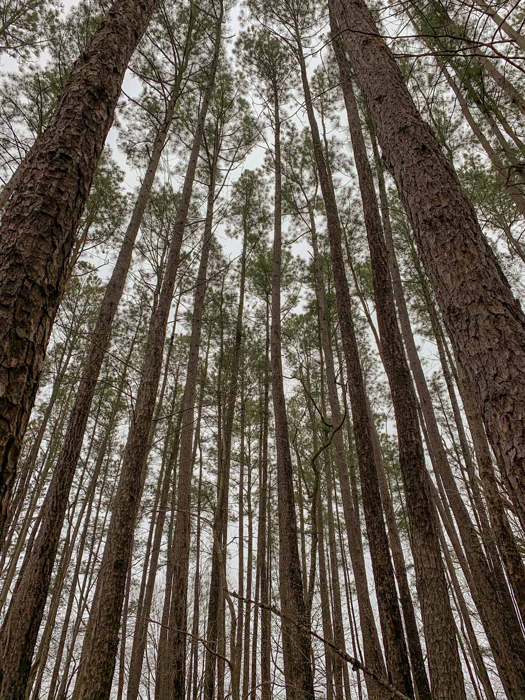 Nature Nugget – July 21 | Hikes and Hops
