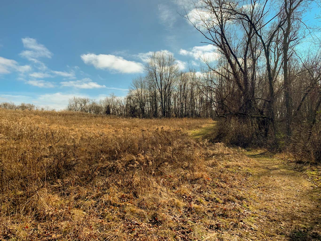 Sewickley Heights Borough Park & Big Sewickley Creek Brewery | Hikes ...