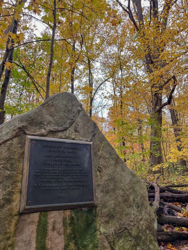 Ohiopyle State Park (Ferncliff Peninsula) & Yough River Brewery | Hikes ...
