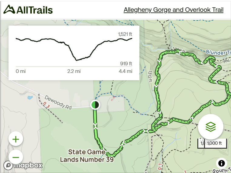 Clear Creek State Forest & Trails to Ales | Hikes and Hops